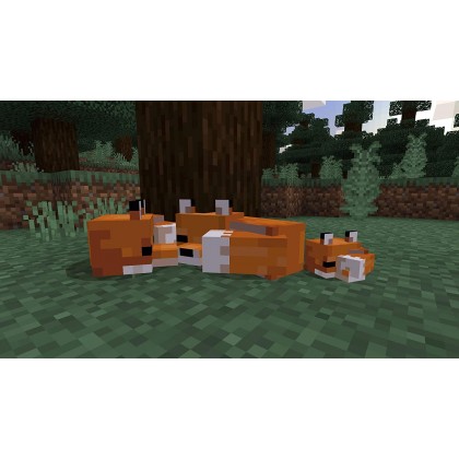 PS4 Minecraft [R3 Eng/Chi]