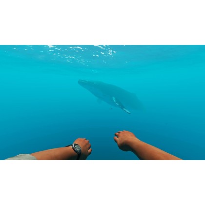 Switch Stranded Deep [ EU Eng ]