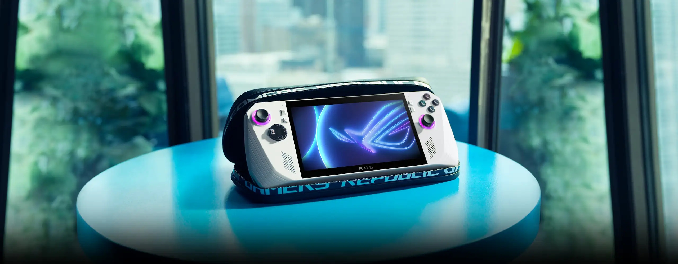 ROG ALLY Travel Case